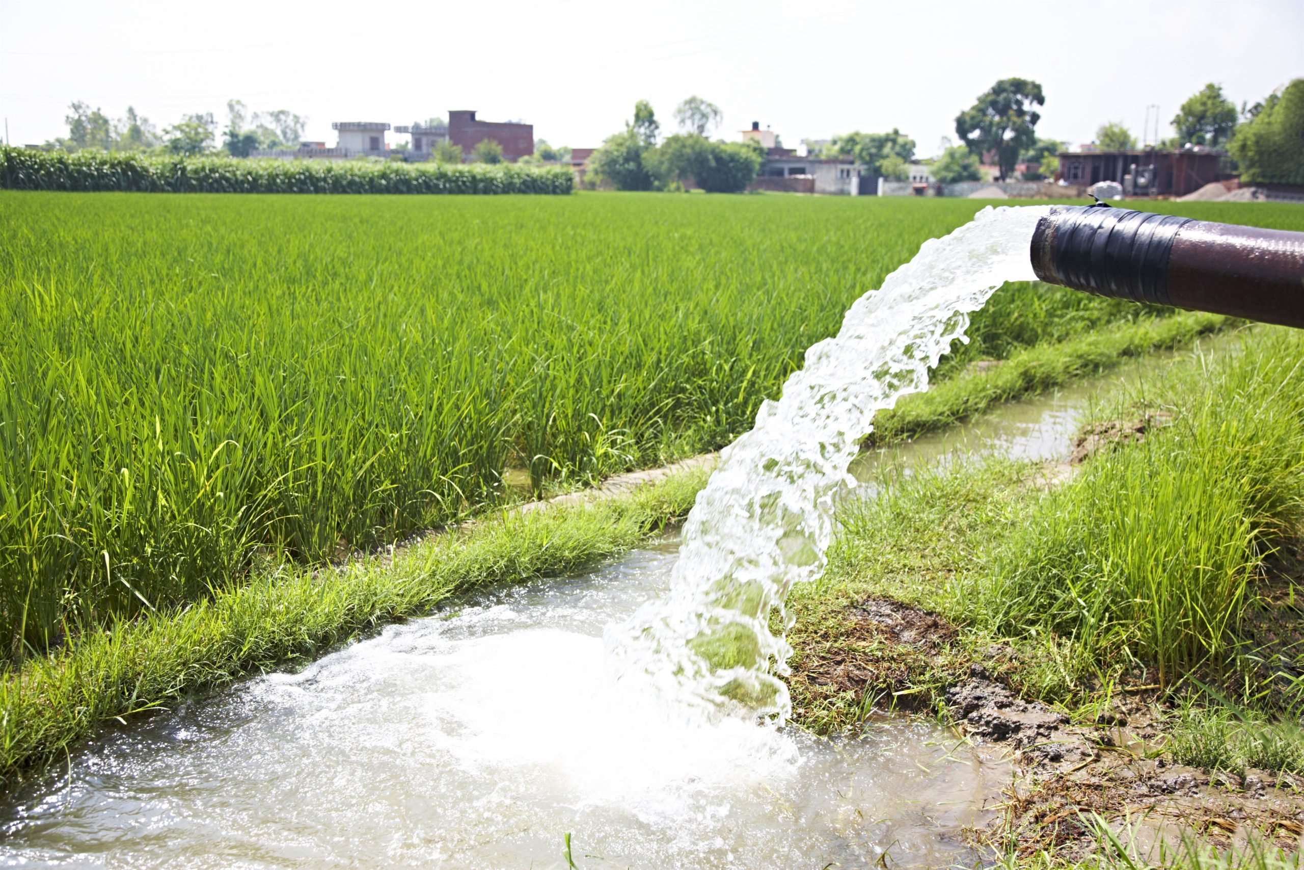 Varuna Pumps – Varuna